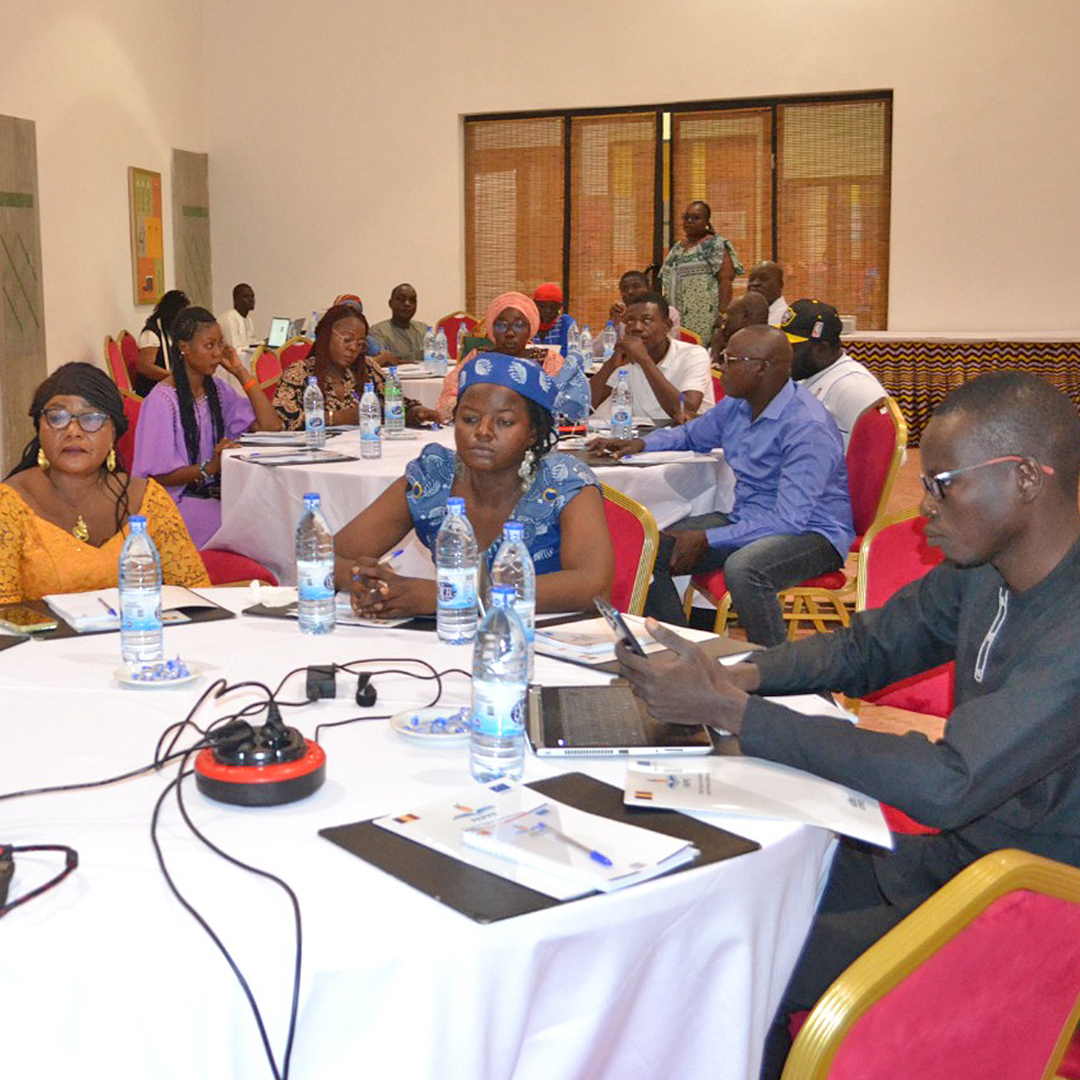 Formation des OSC aux techniques d'expression publique et de plaidoyer | ECES | European Centre ...